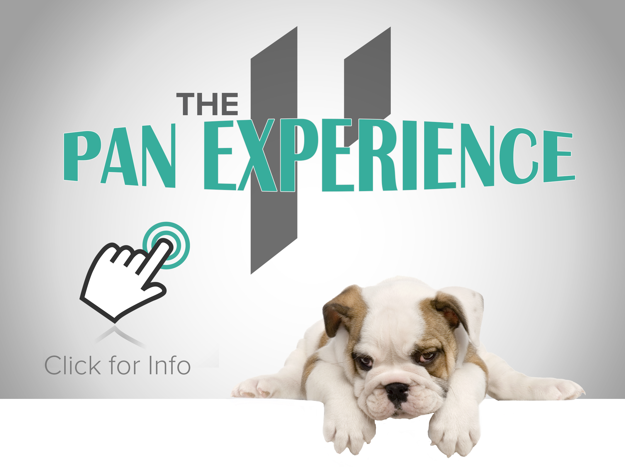 Home - Pan Pacific Pet